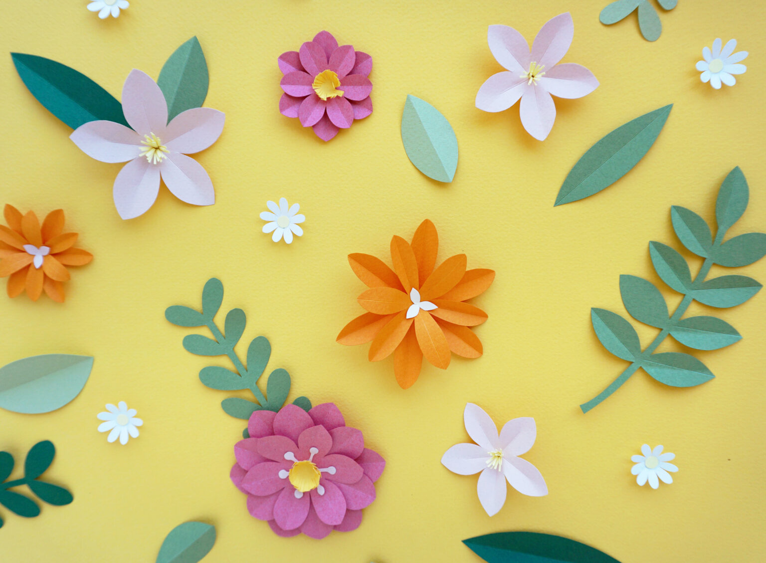 Home page - Shellharbour City Libraries