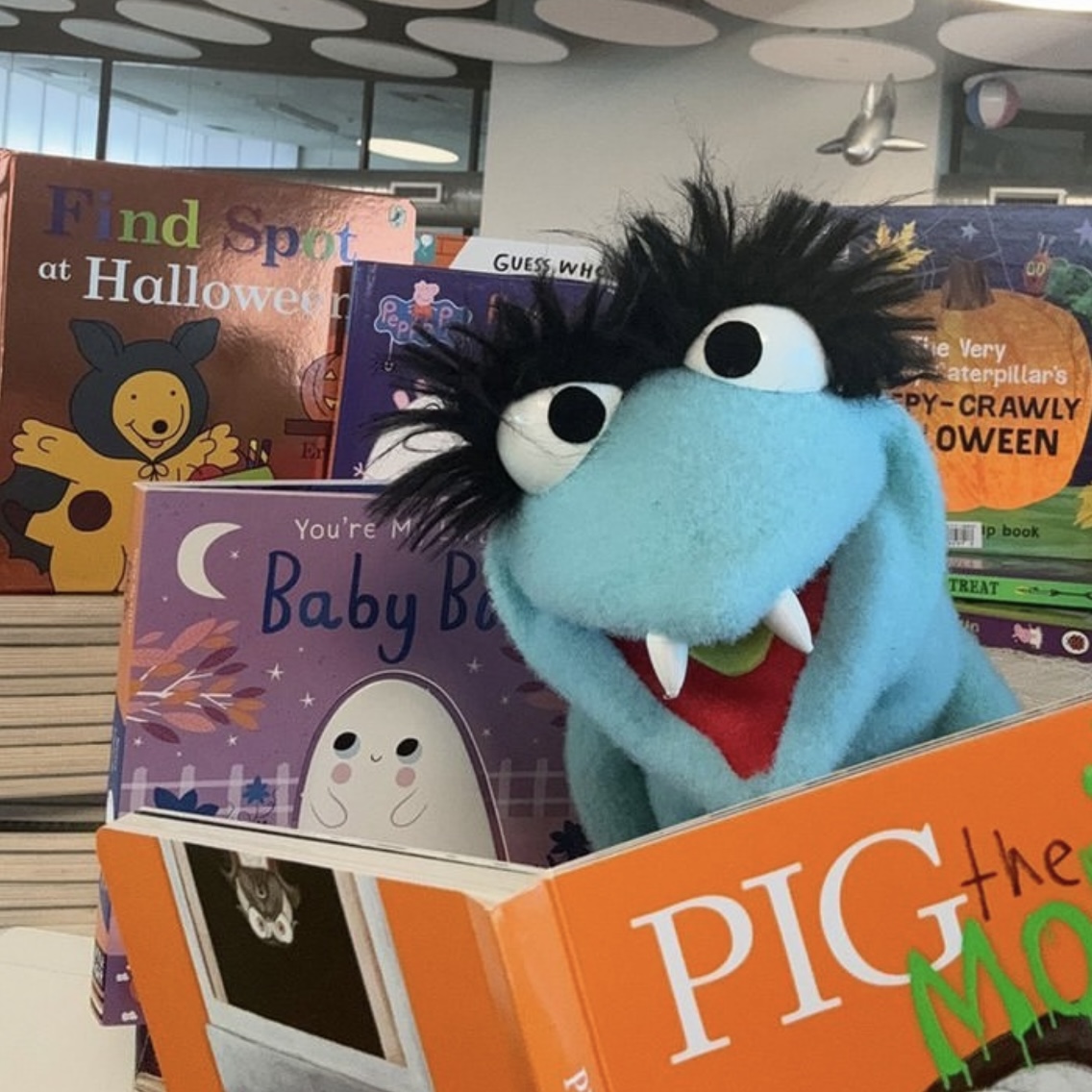 Home page - Shellharbour City Libraries