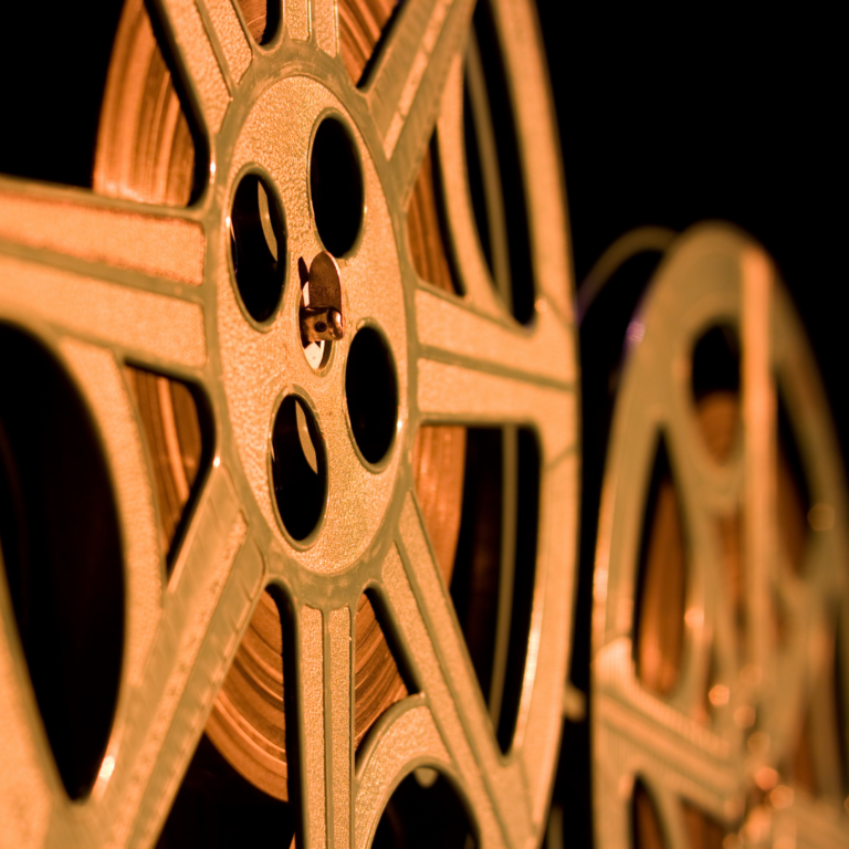 Home page - Shellharbour City Libraries