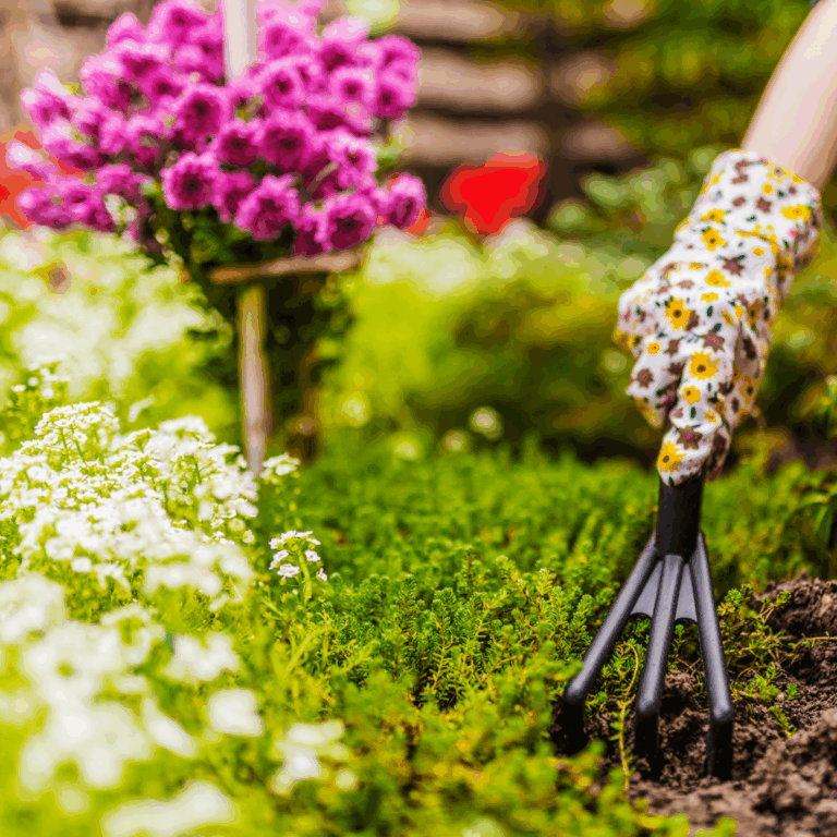 Home page - Shellharbour City Libraries